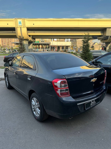 COBALT darkmon blue 2024 yılı