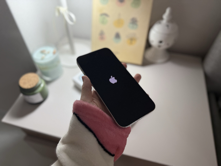iPhone 14 Pro Max 256 GB