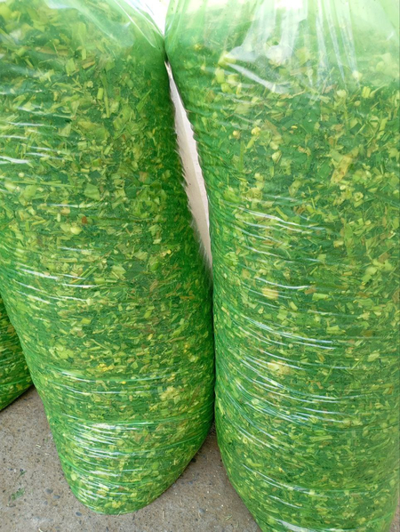 SILOS qopli 20 kg