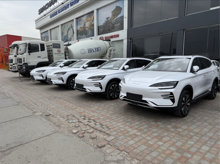 Byd chempion 2025 madel