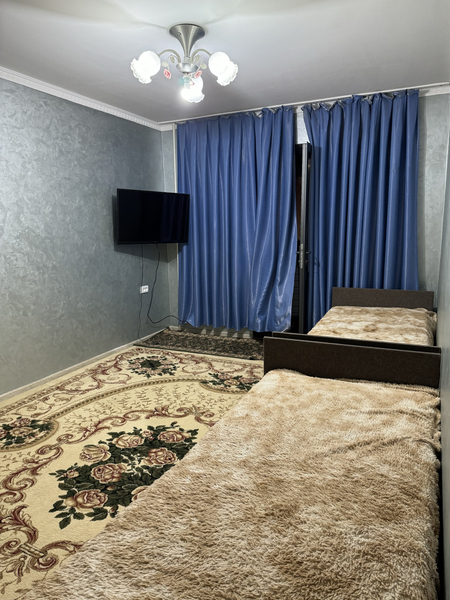1х комнатная квартира