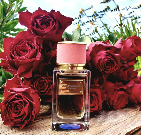 Dolce & Cabbana  velvet Rose  50ml
