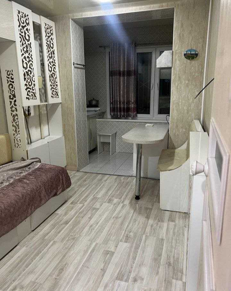 Новомосковская  .1в2/4/5.  кирпич  ( мебель + техника  )