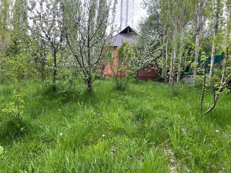 Срочно продается дача чимган
