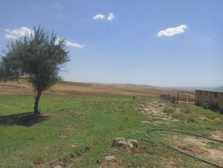 Ferma sotiladi baliq yetishtirish uchun 3 ta koli ham bor
