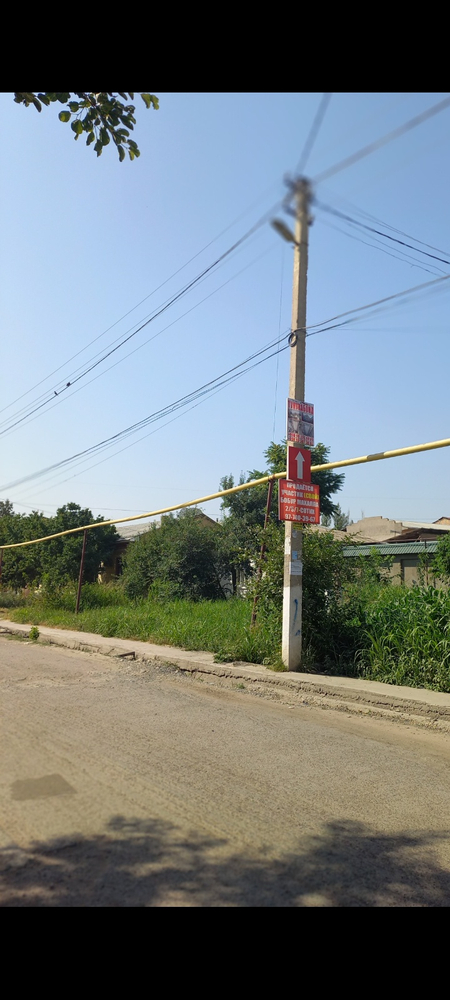 Спргели земля 12 соток