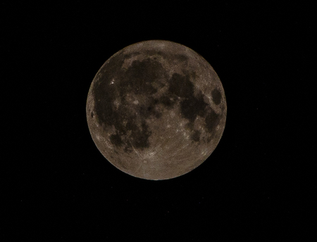 Nikon d600 full frame