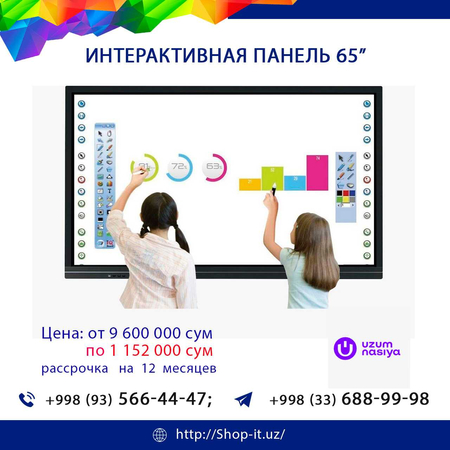 Интерактивная панель 65