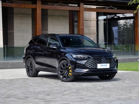 BYD TANG  tuning detals