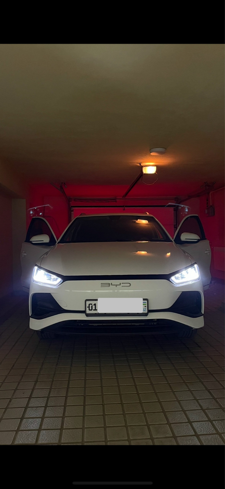 Byd e2 luxury (full)