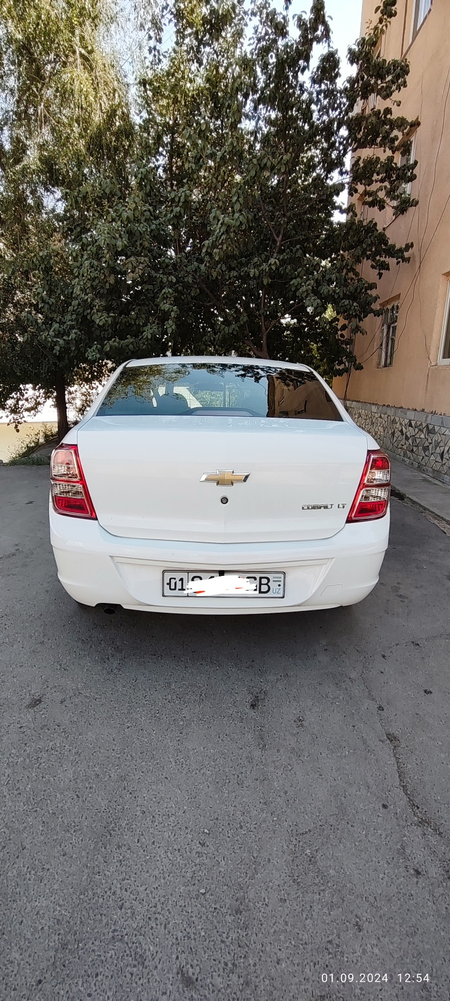 Cobalt mexanika 2019