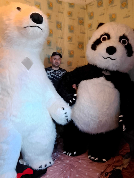 Ayiq va panda shouu