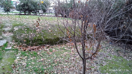 Алгоритим 30 4 /1/5 этажкада Йолли юзида  Мухлиса астановка  енида