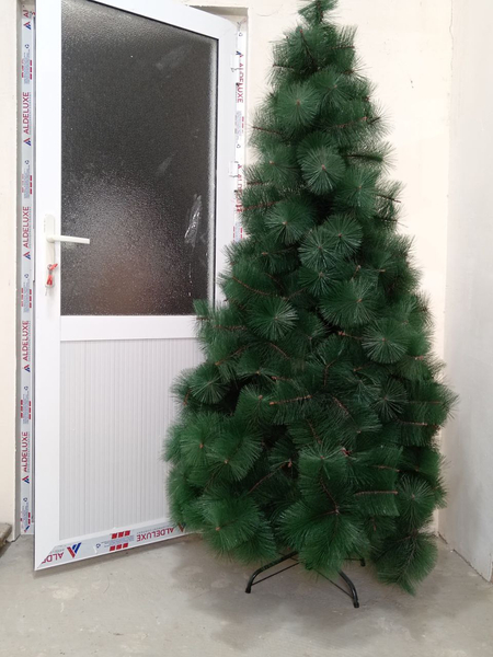 Yangi archa zo\\\'r