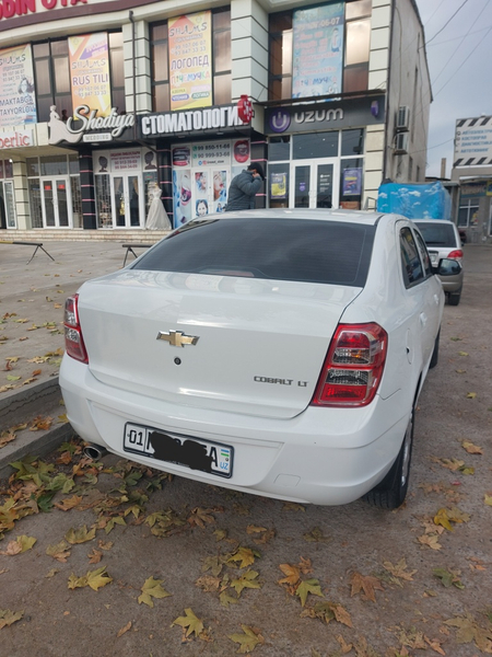 Cobalt gazi bor srochni