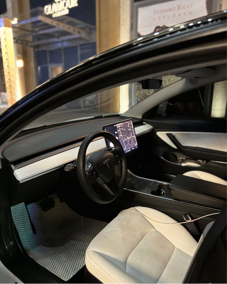 Tesla model 3 standard plus