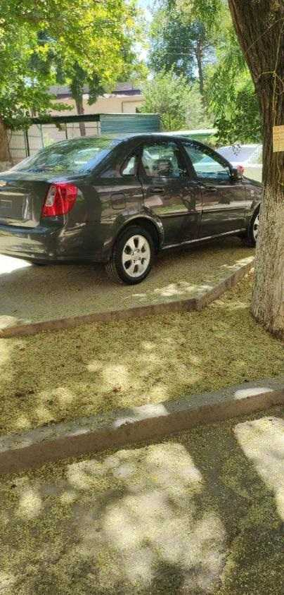 lacetti mexanika barcha viloyatlar uchun yillik 10%
