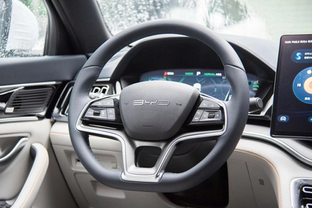BYD Son Plus Chempion