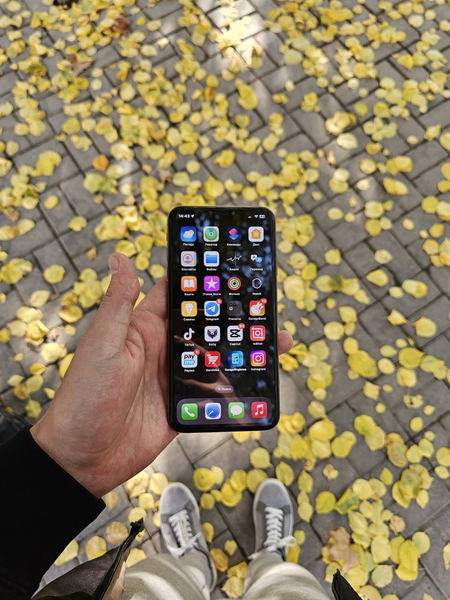 Iphone xs max 256gb
