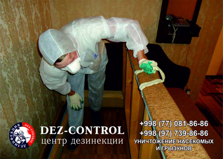 Дезинфекция в Ташкенте