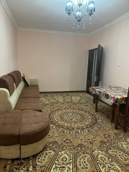 Arenda Qushbigi Surochni 350$