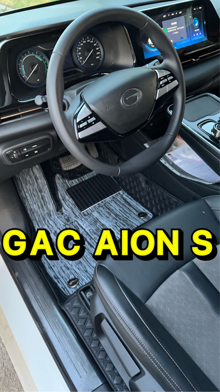 9D polik / коврики для Gac Aion S