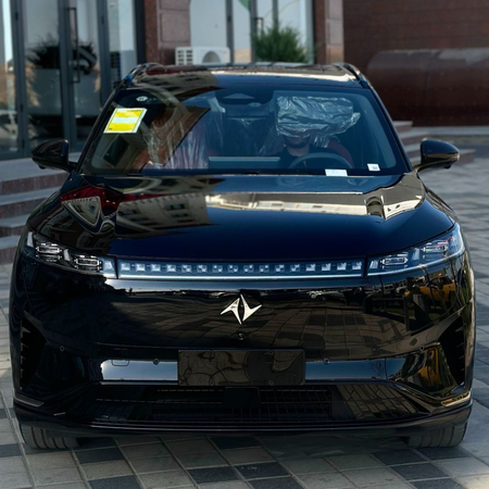 Dongfeng EP008 Hybrid