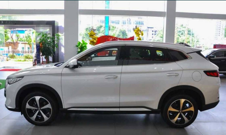 Umid avto BYD Champion gybrid