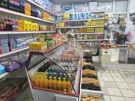 Tayyor biznes magazin