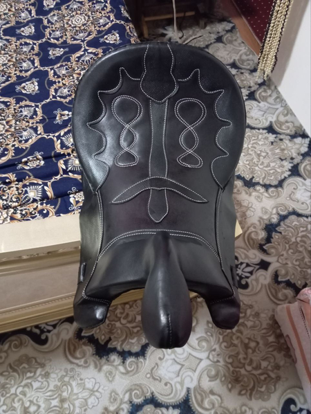 Otga egar (aksiya)