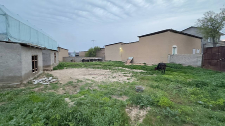 Продаётся земля 8 суток старый 16 улица чагатай махалла
