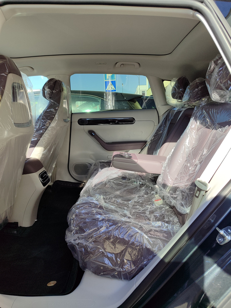 Leapmotor c11 Hybrid comfort dop optsiya