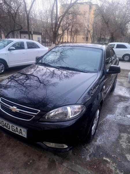 2016 qora jentira