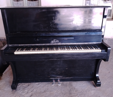 pianina idealni kelishamiz