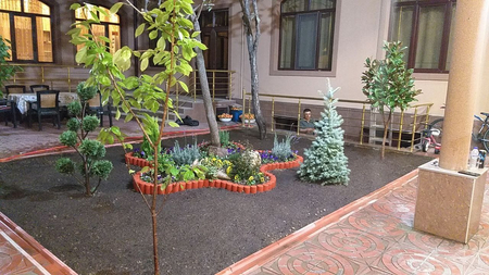 Siffatli gazon landshaf ekish xizmati