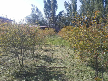 Ер сотилади Назарбек