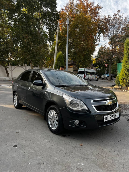 Cobalt Ltz  2019