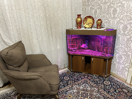 Угловой аквариум с тумбочкой