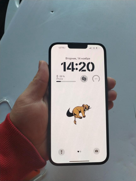 Iphone 13 pro max
