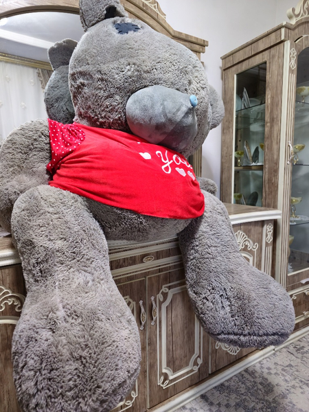 Teddy ayiq. Тедди