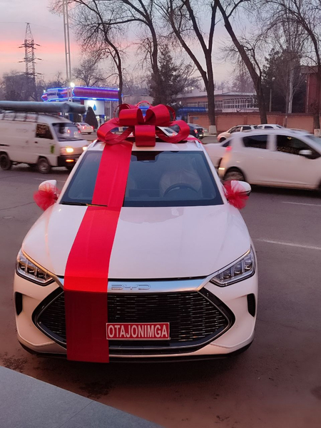 Bantik moshinaga. lenta, автабантик.бантик для машины.лента
