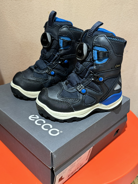 Зимние сапожки от фирмы Ecco