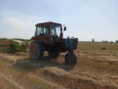 Traktor mtz 80 Belarus. Prespodborshik Markant 55. 2 TASI HAM SOTILADI