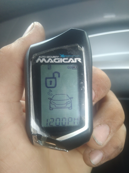 Mejikar Dominant 906 pejiri