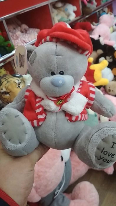 Teddi ayiq