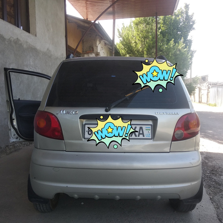 Matiz polni shumka
