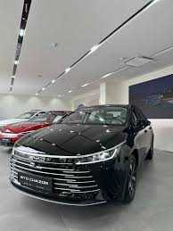 byd chazor 2024 zakasga