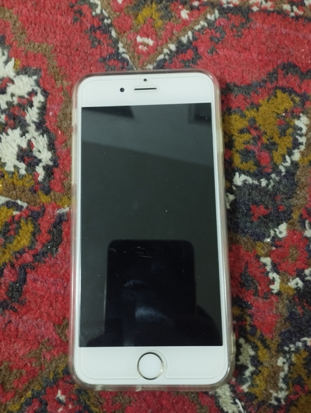 iPhone 6 500 minga sotiladi