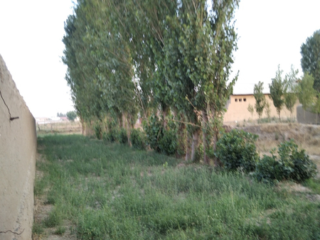 Uchastka sotiladi.