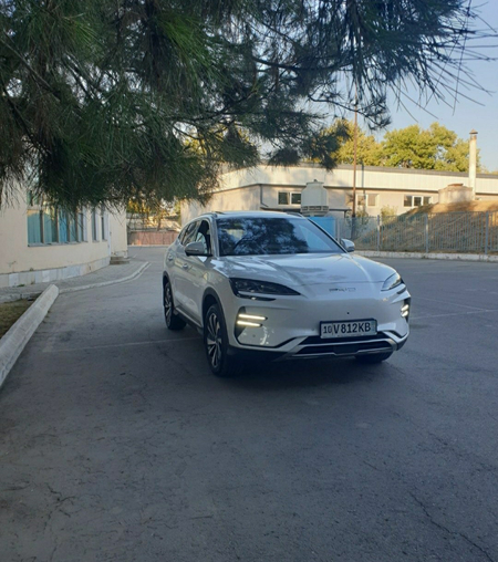 BYD CHEMPION 605 KM. 2024. Краска тоза.